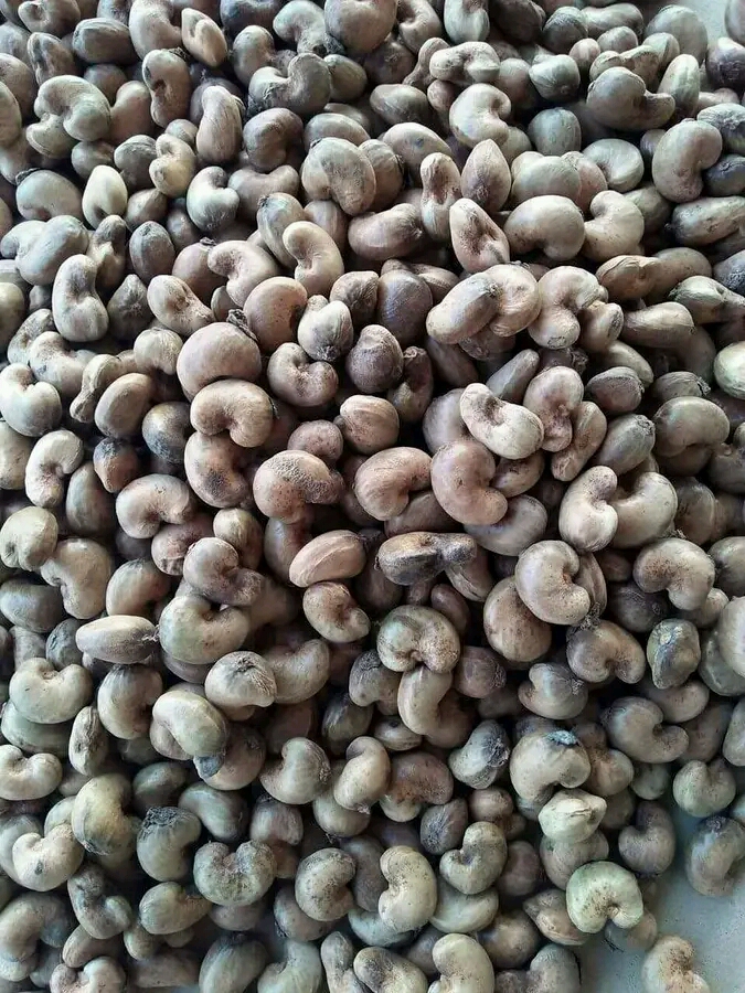 Cashew price per ton store
